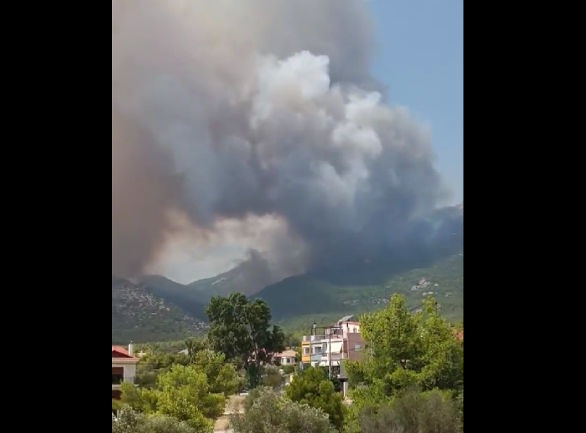 EL - Στον Εθνικό Δρυμό της Πάρνηθας περνάνε οι φλόγες! Καίγεται ό,τι ...