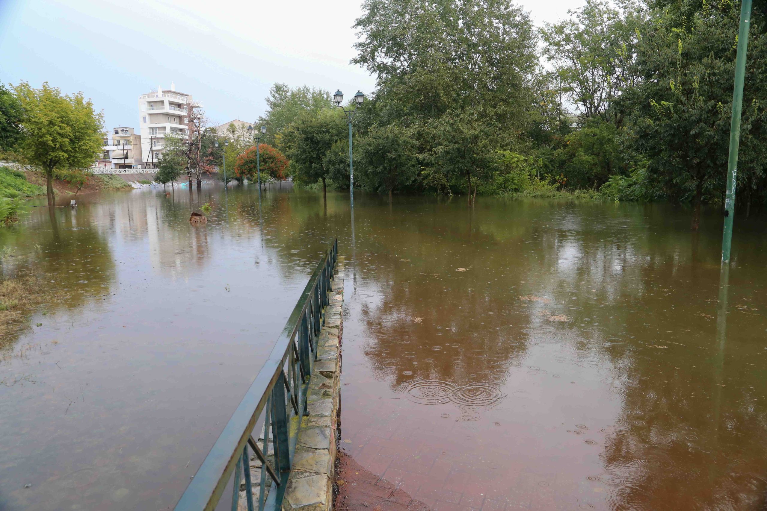EL - Κάτοικος Παλαμα : Η βοήθεια άργησε πάνω από 15 ώρες - ΒΙΝΤΕΟ