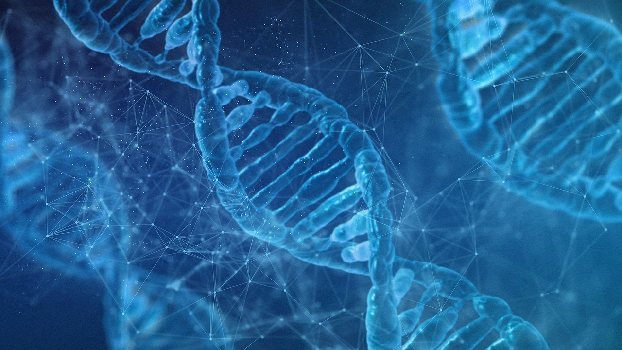 EL - Μυστηριώδεις σκελετοί 6.000 ετών με άγνωστο DNA ξαναγράφουν την ...