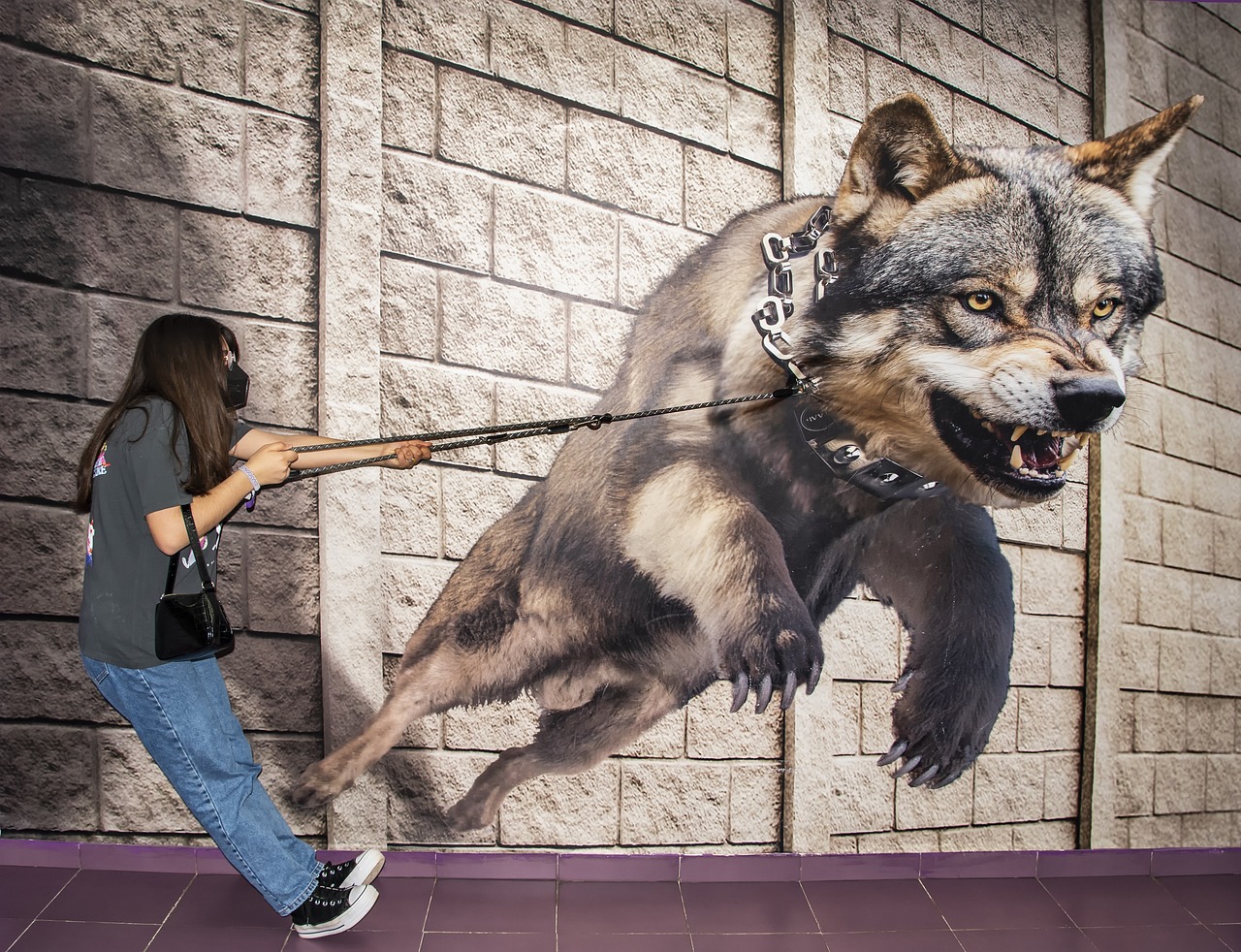 EL - Ταλαντούχος Κινέζος καλλιτέχνης δημιουργεί συναρπαστικές οπτικές ...