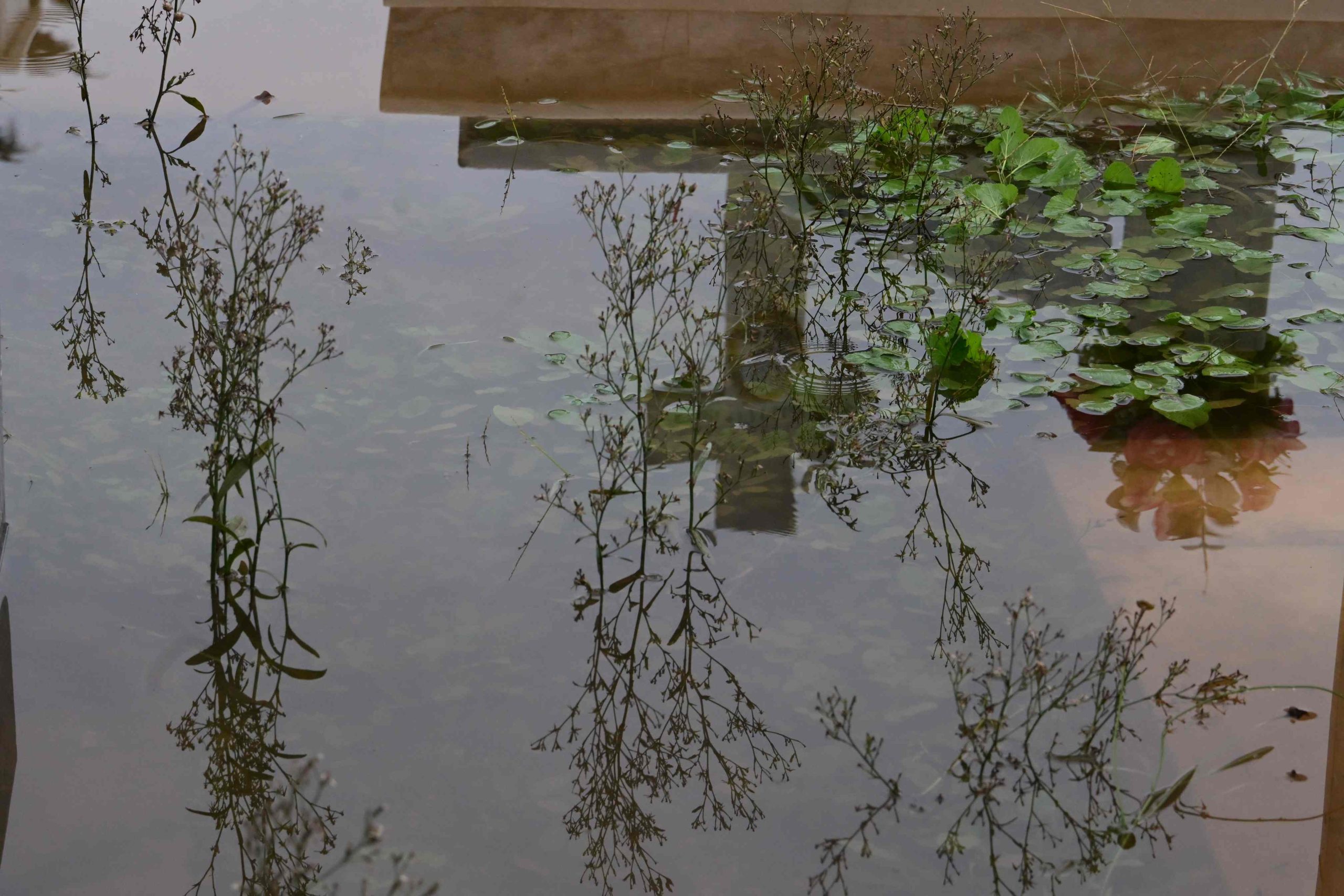 EL - Meteo: Πάνω από 260 χιλιοστά το ύψος βροχής στη Βλυχάδα Αττικής ...